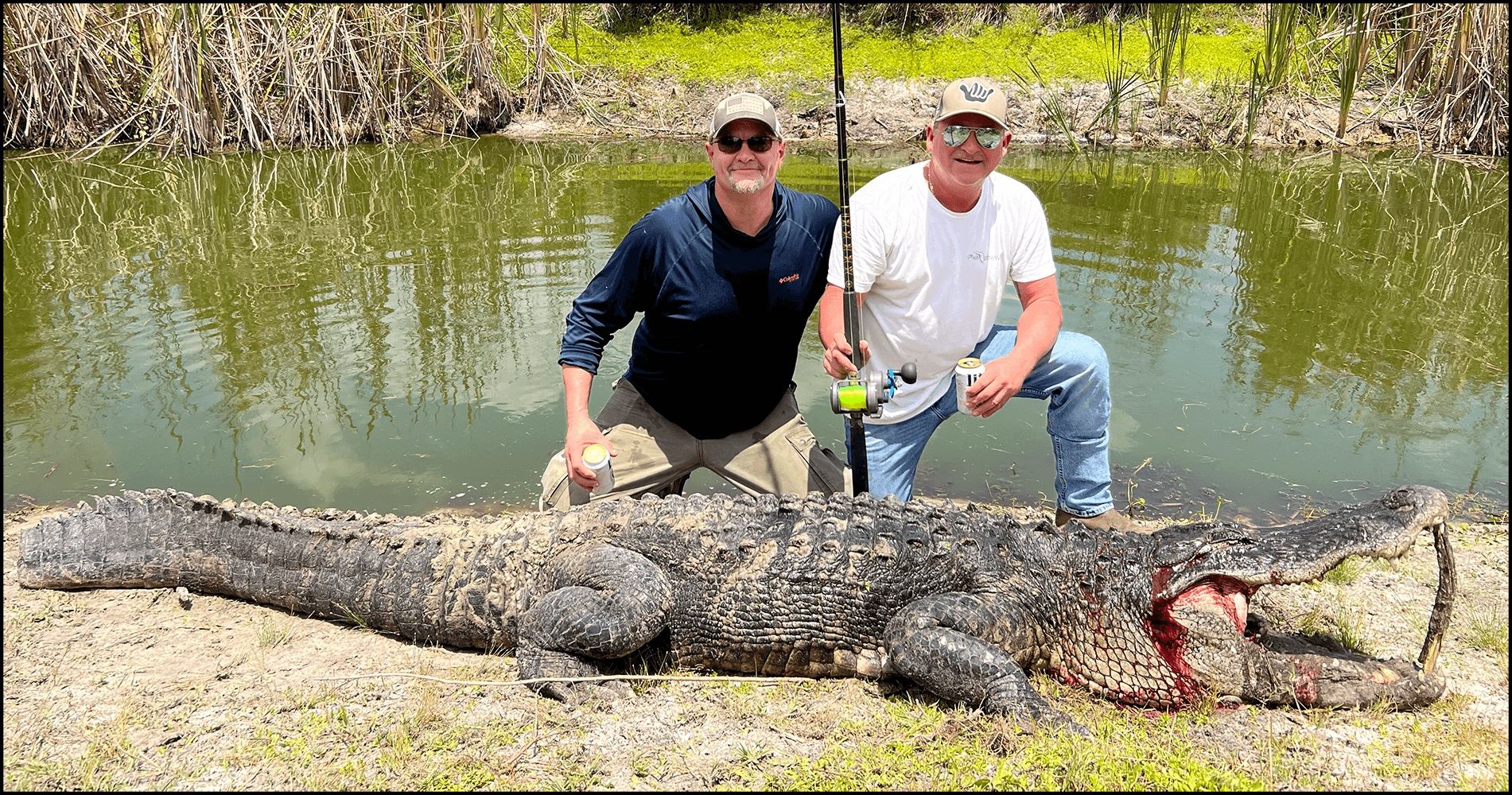 Affordable Trophy Gator Hunts in Florida's Wild Heart