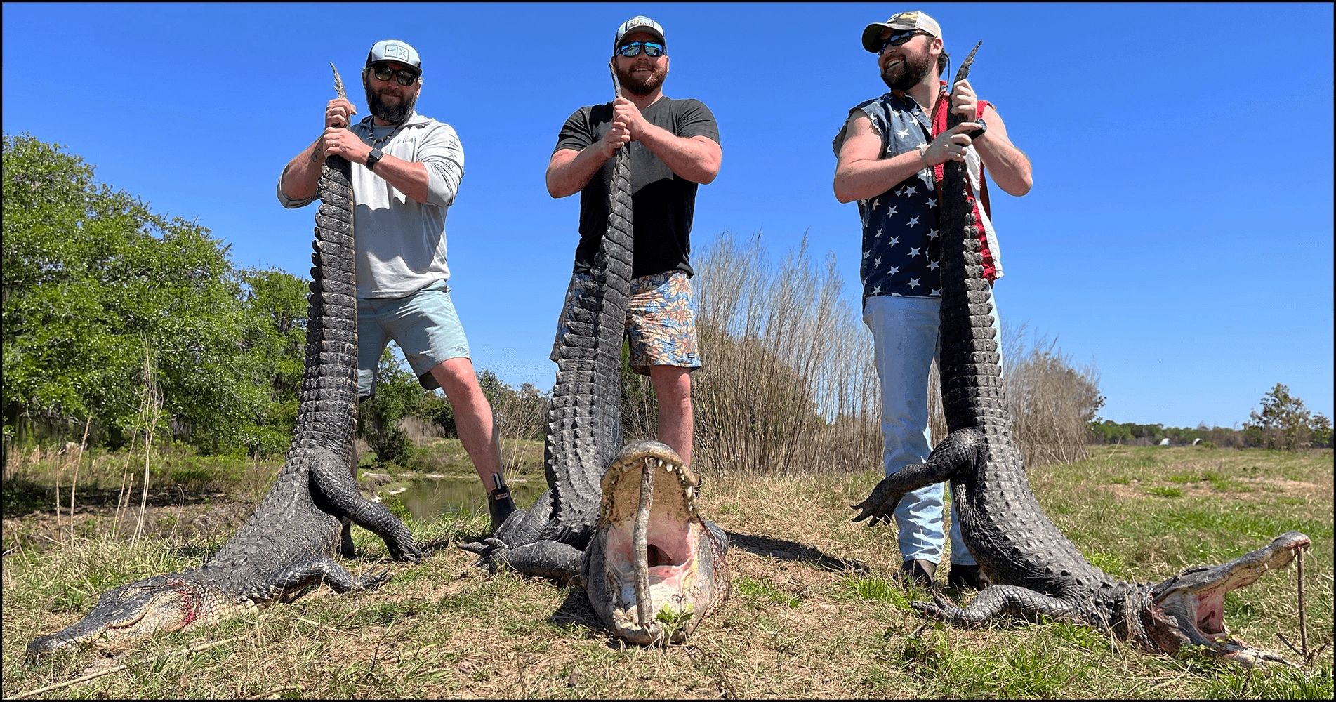 Gator Glory: Capture Your Wild Florida Trophy!