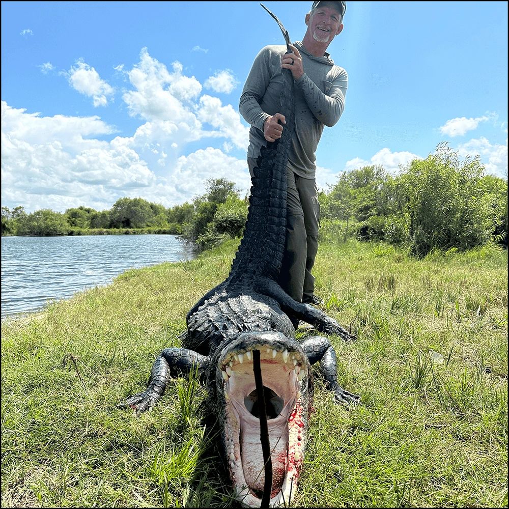Thrill of the Chase: Florida's Premier Gator Hunts!