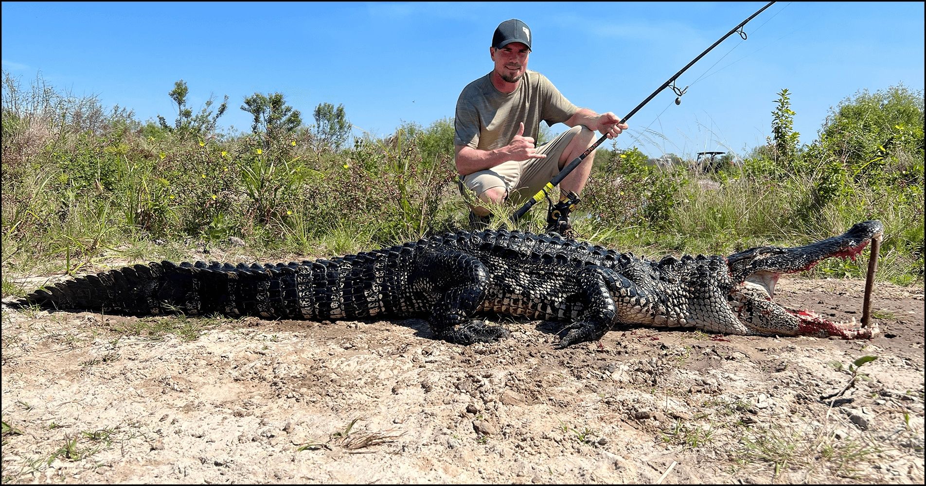 Thrilling Trophy Gator Hunts in Sunny Florida