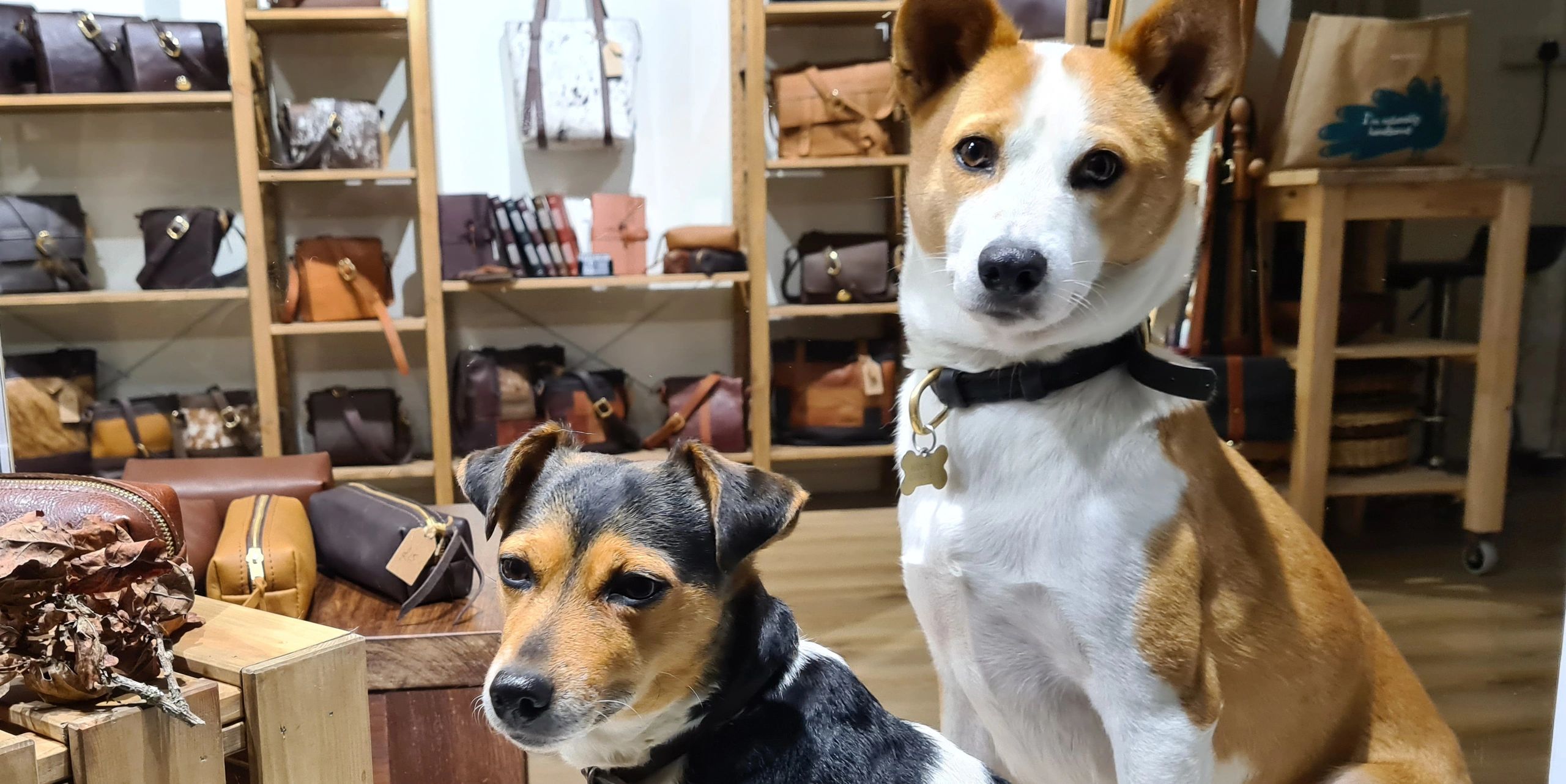 Store | Two Fat Dogs