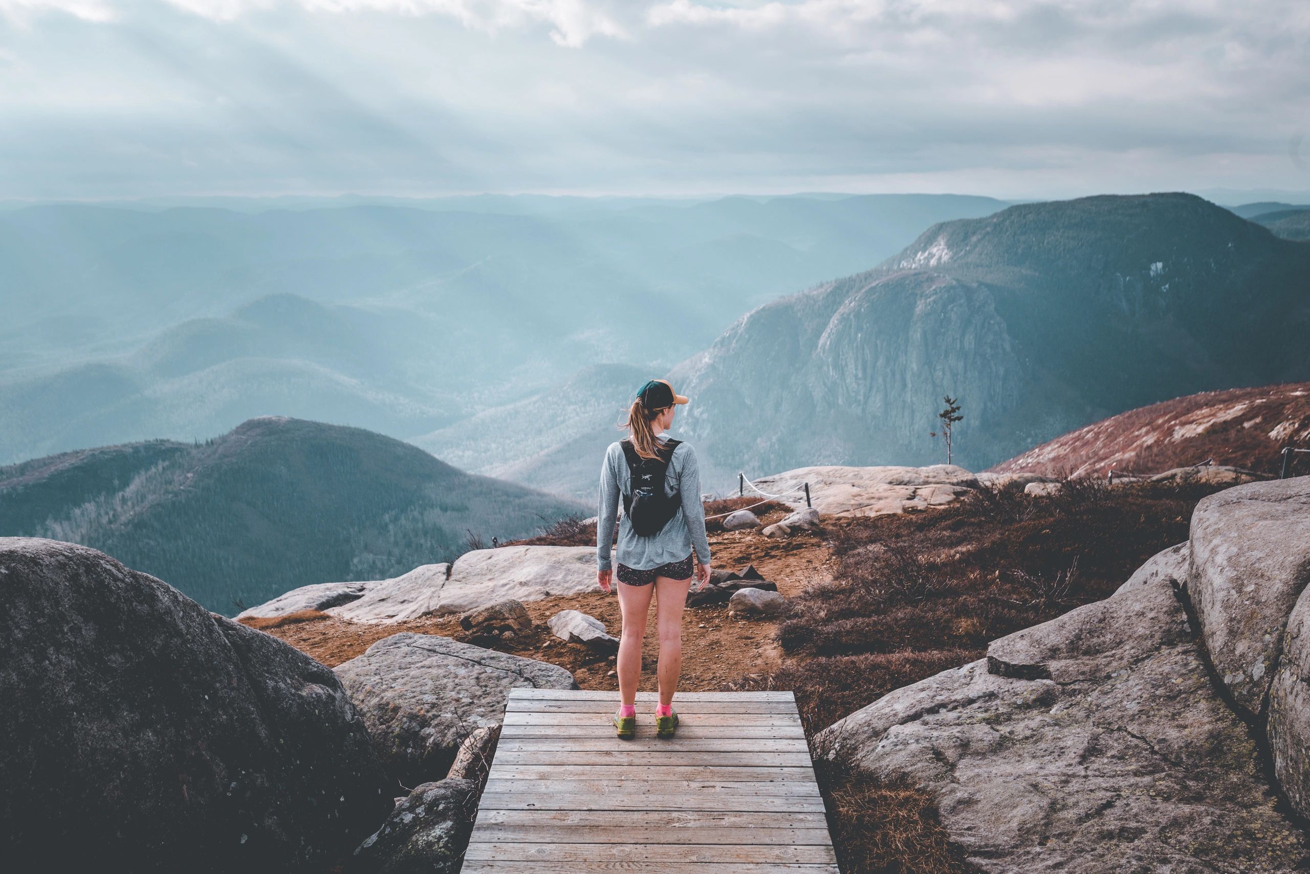 Le Jalbert *NOUVEAU*