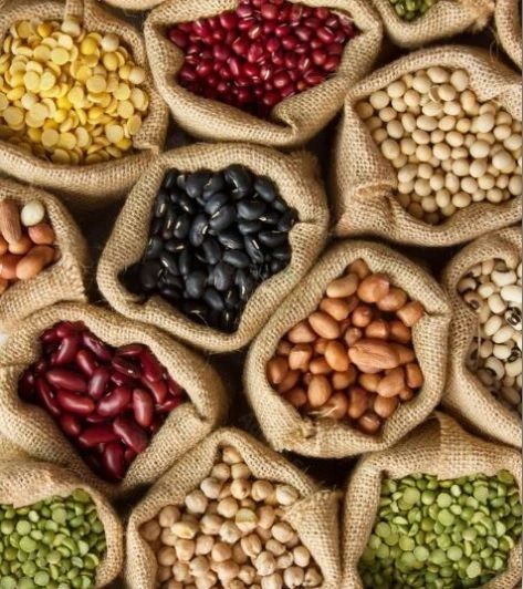 Early 2024 will have strong appreciation of beans.