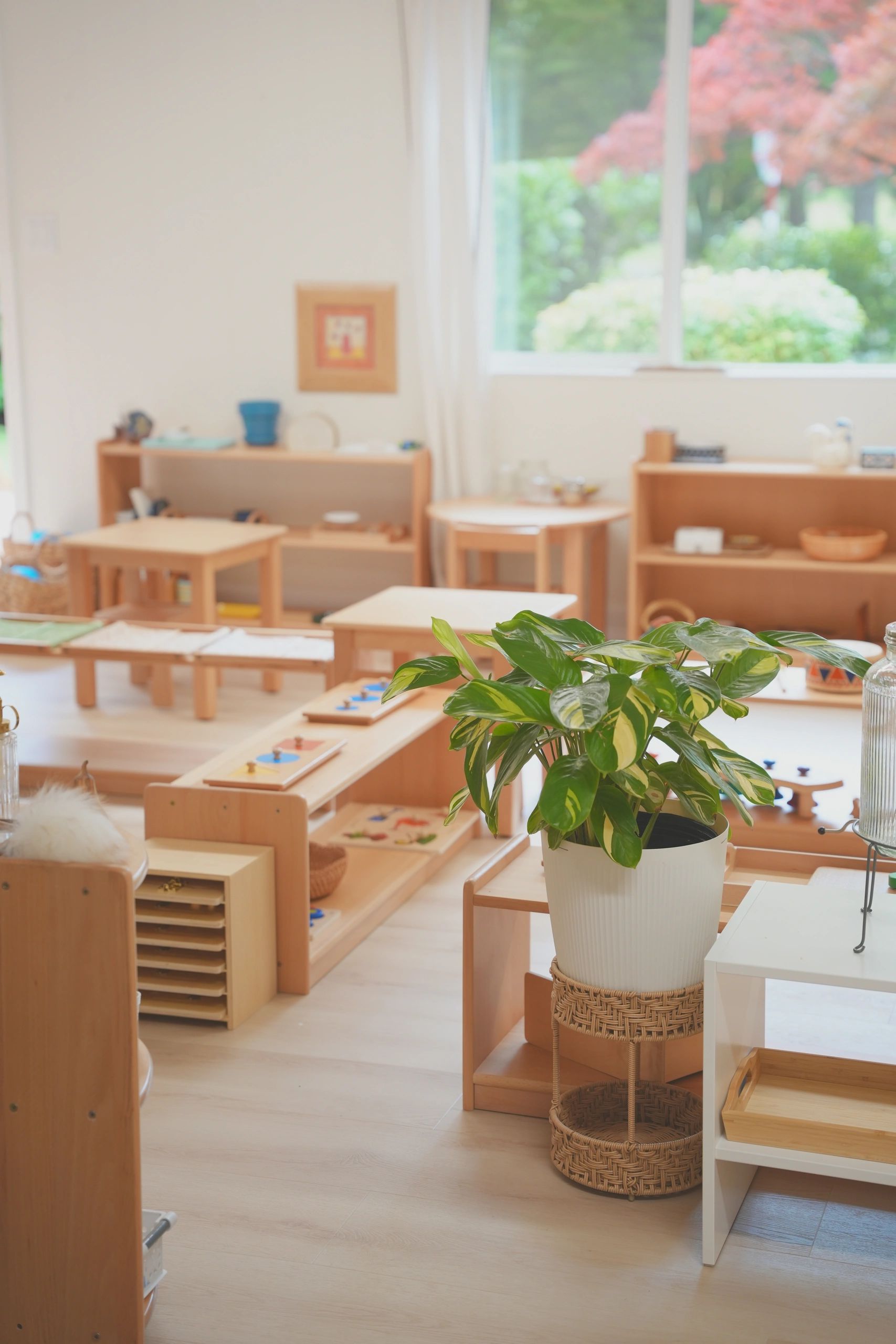 Mountain Montessori School