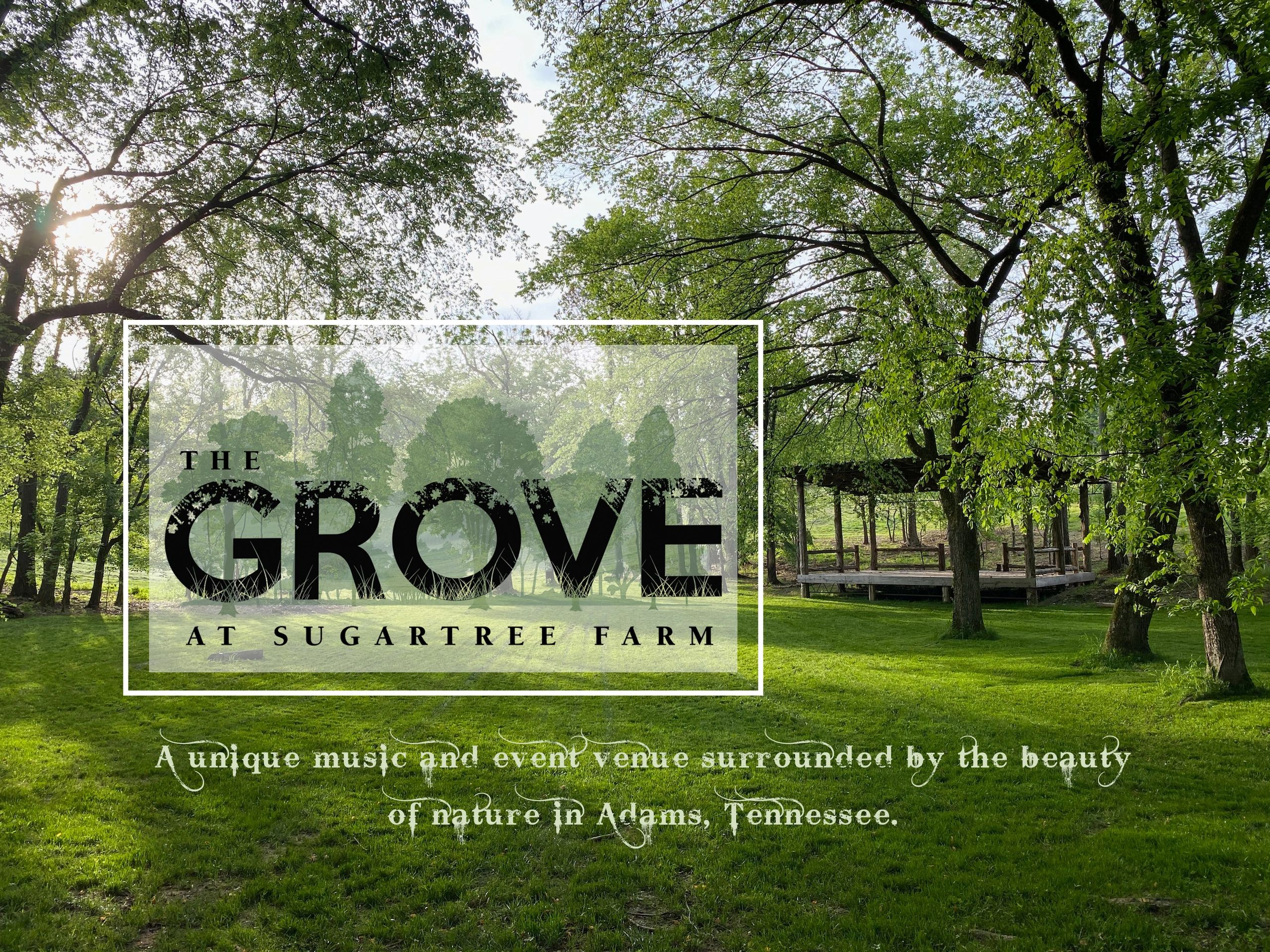 TheGroveAtSugartree - Fresh Cut Christmas Trees - Adams, Tennessee