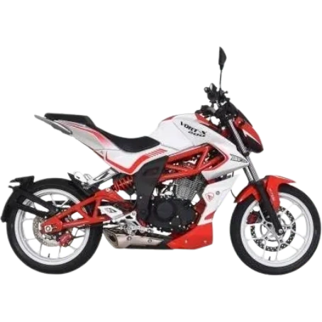 ITALIKA VORT X 300 NAKED Template