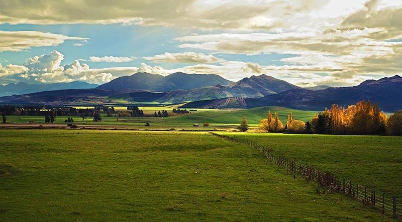 Garrison Insurance Agency