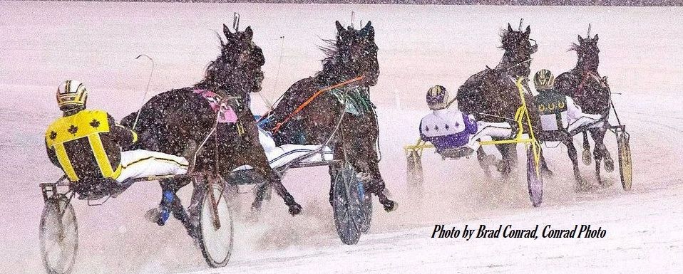 HOME | Ohio Colt Racing Association