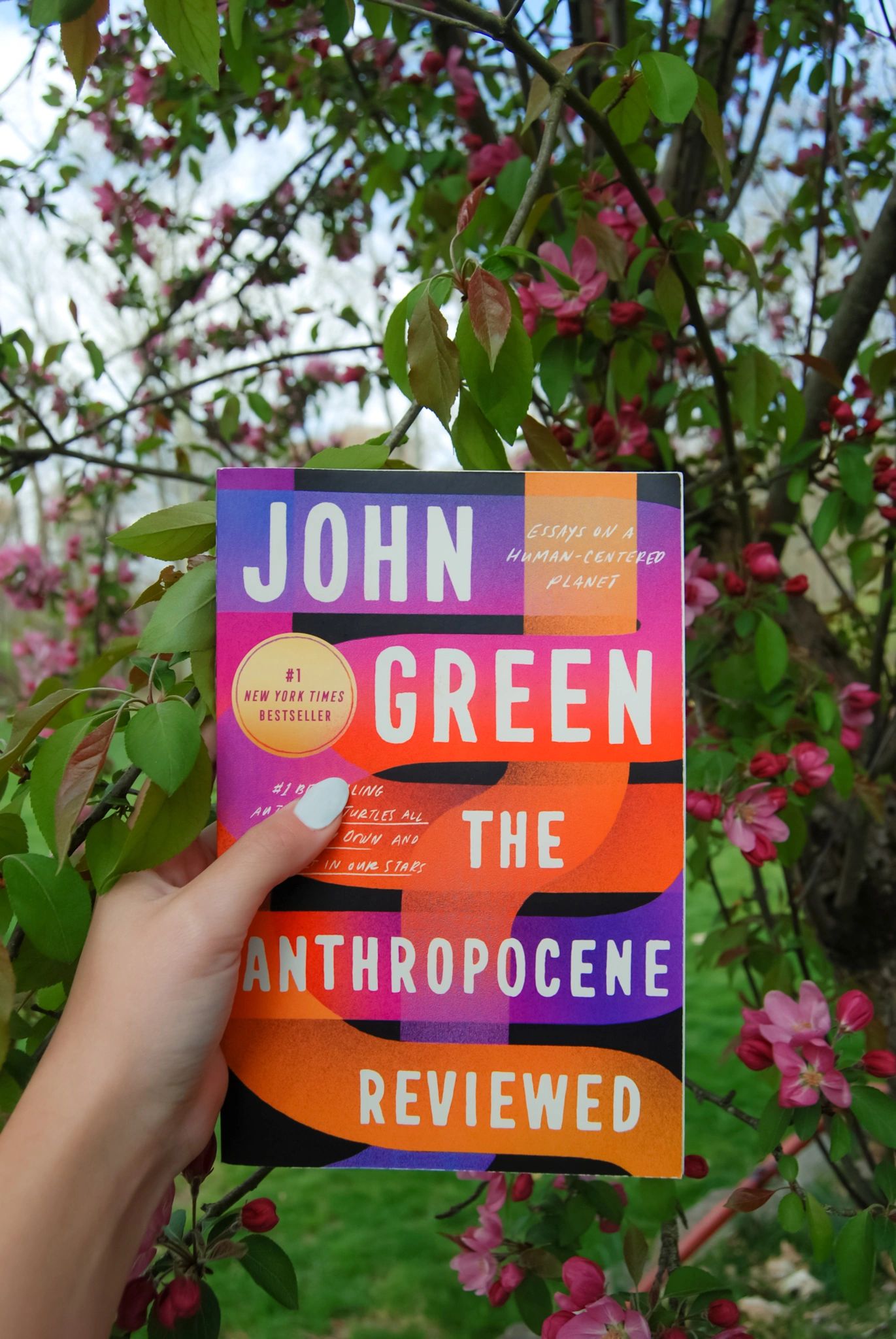Book Review: The Anthropocene Reviewed