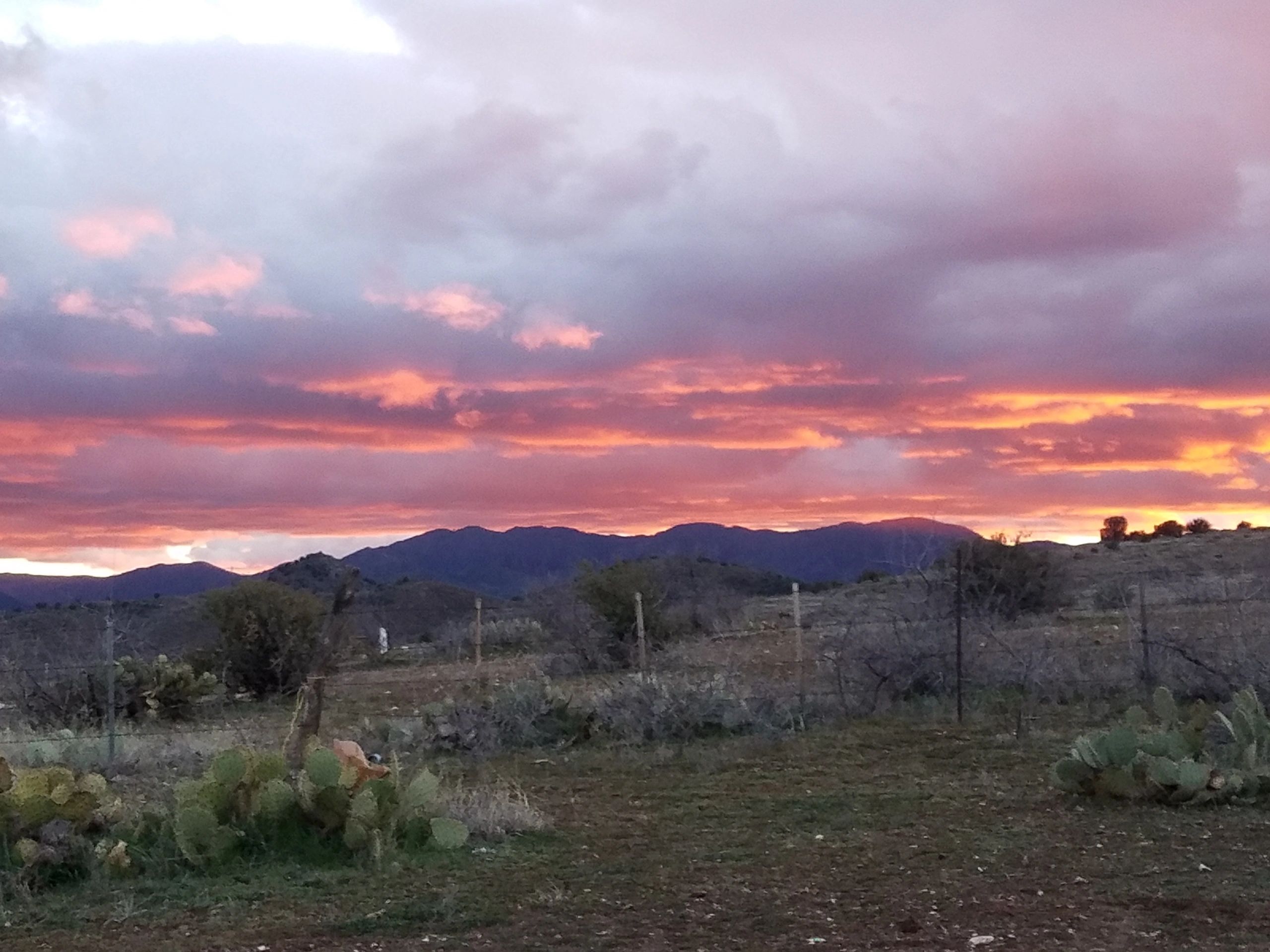 Arizona Horseback Riding