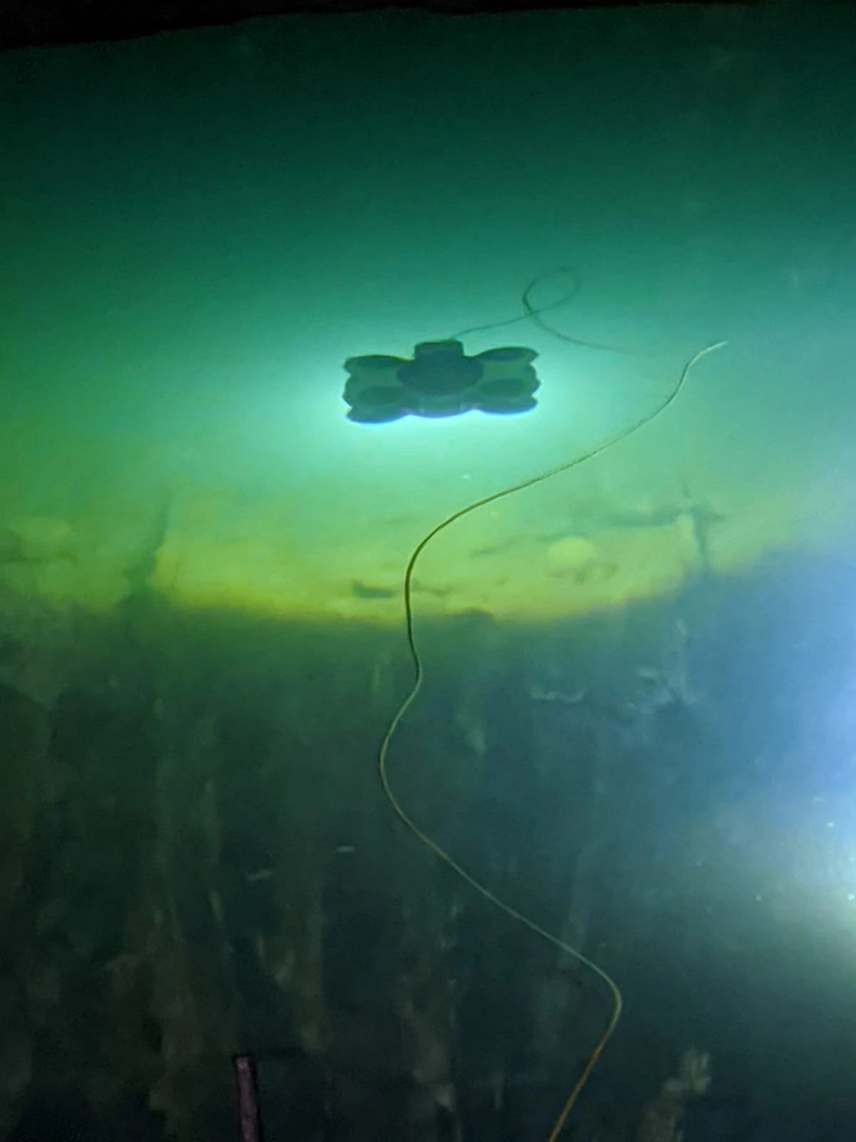 Inspired Intelligence - NEW! Underwater Exploration! - Laser Scanning Forum