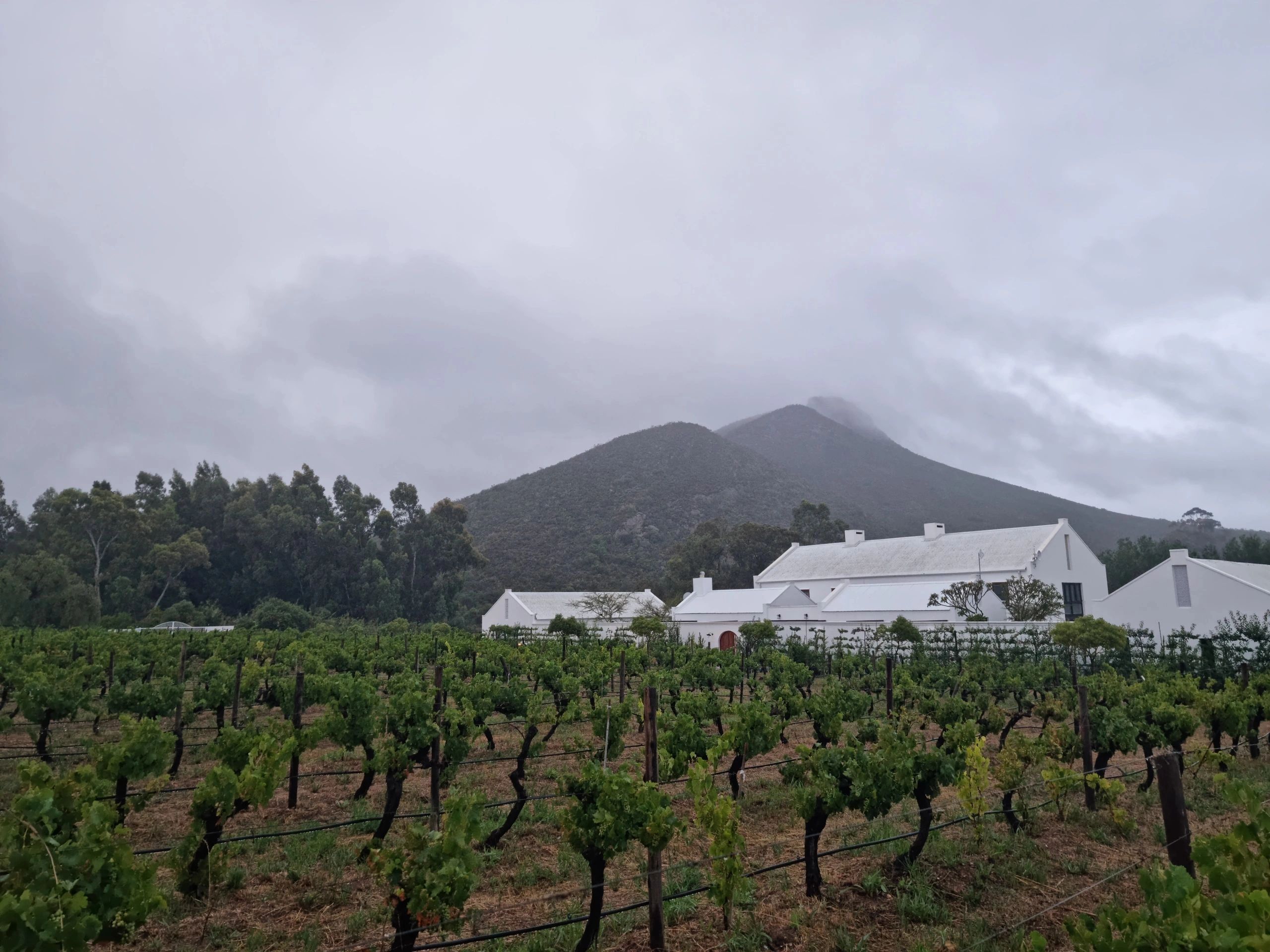 A Farm Stay in a Peaceful Valley. - Klawerjas