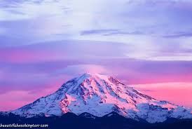 Rainier Case Management