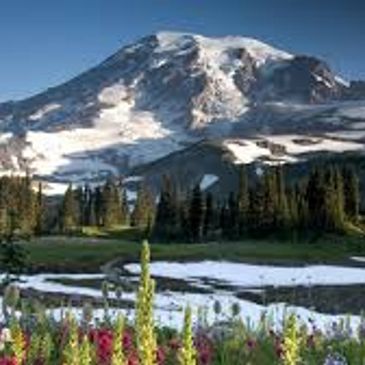 Rainier Case Management