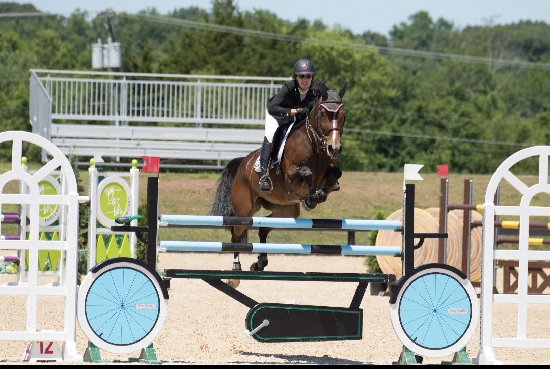 Ninja Performance Horses