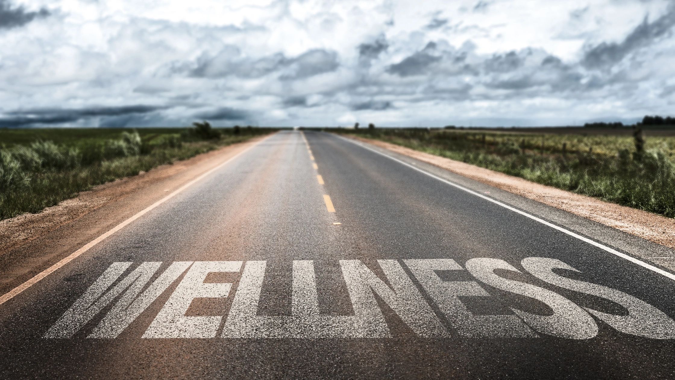 Truckerfitnessandwellness