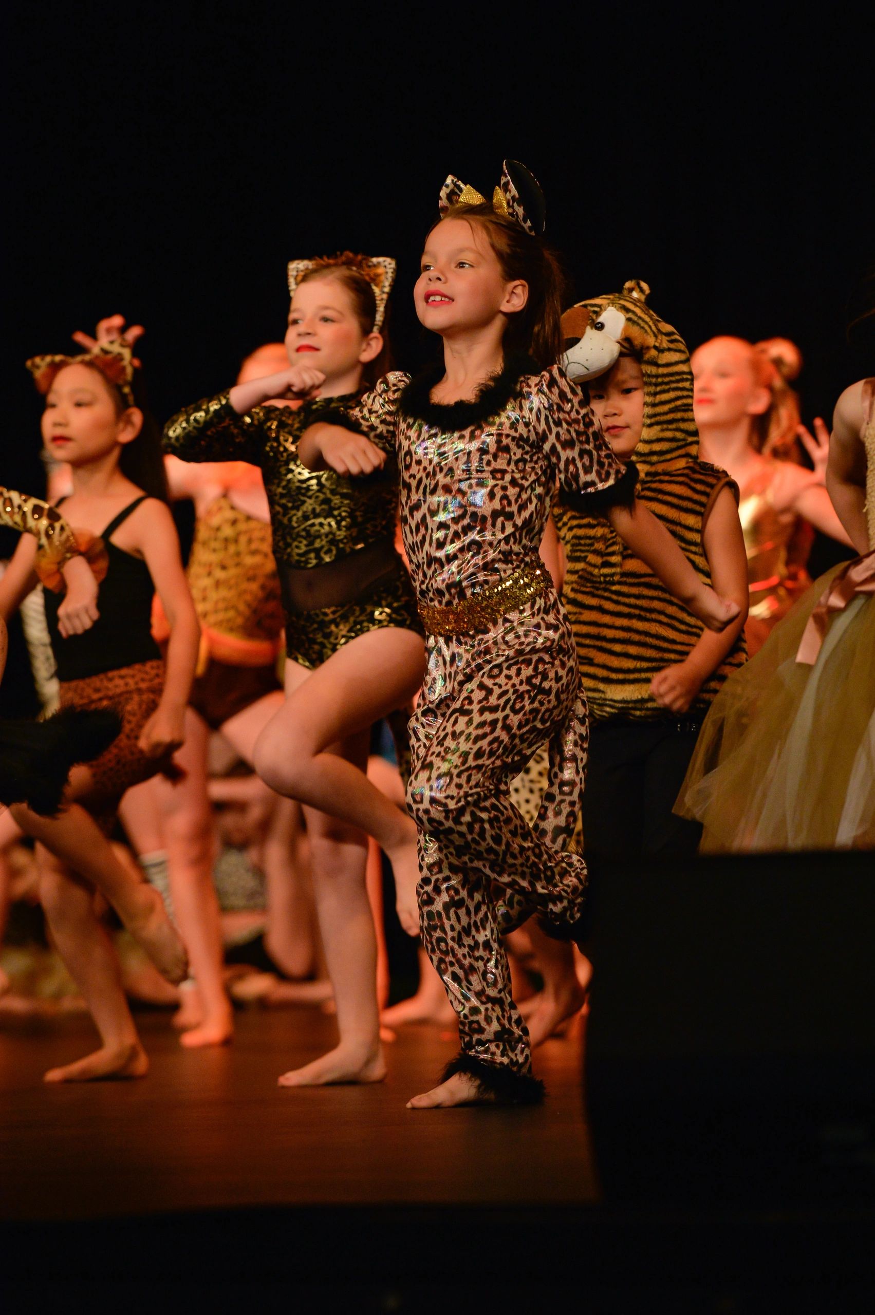 North Pointe Dance - Dance, Physie and Dance