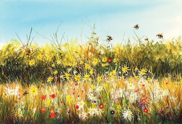 Stuart Campbell-Smith Art