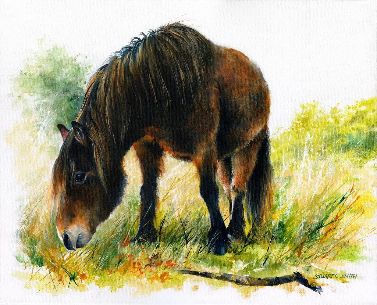 Stuart Campbell-Smith Art - Art, Original, Prints