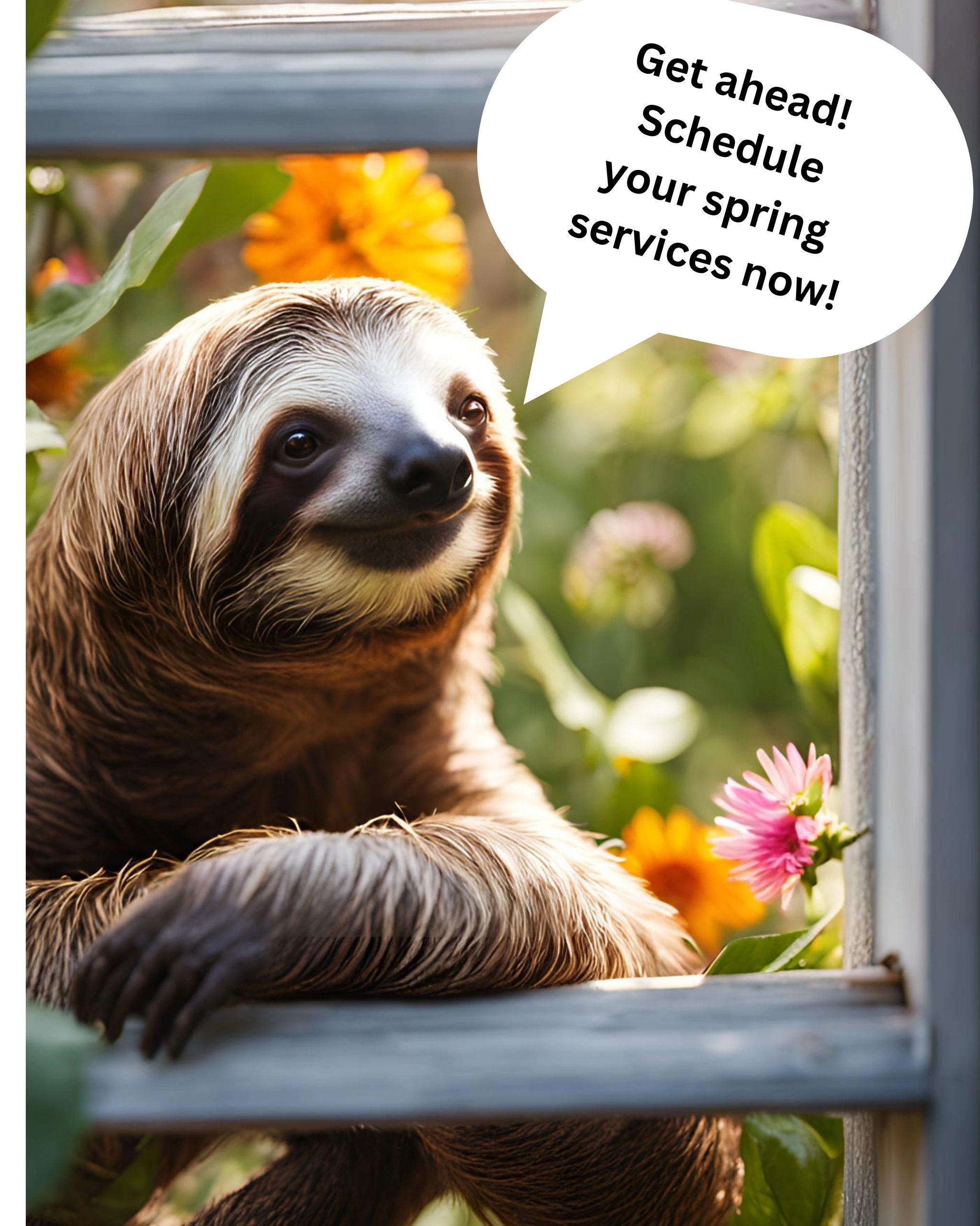 Professional Home Cleaning, Cleaning Service, House Cleaning Service ...