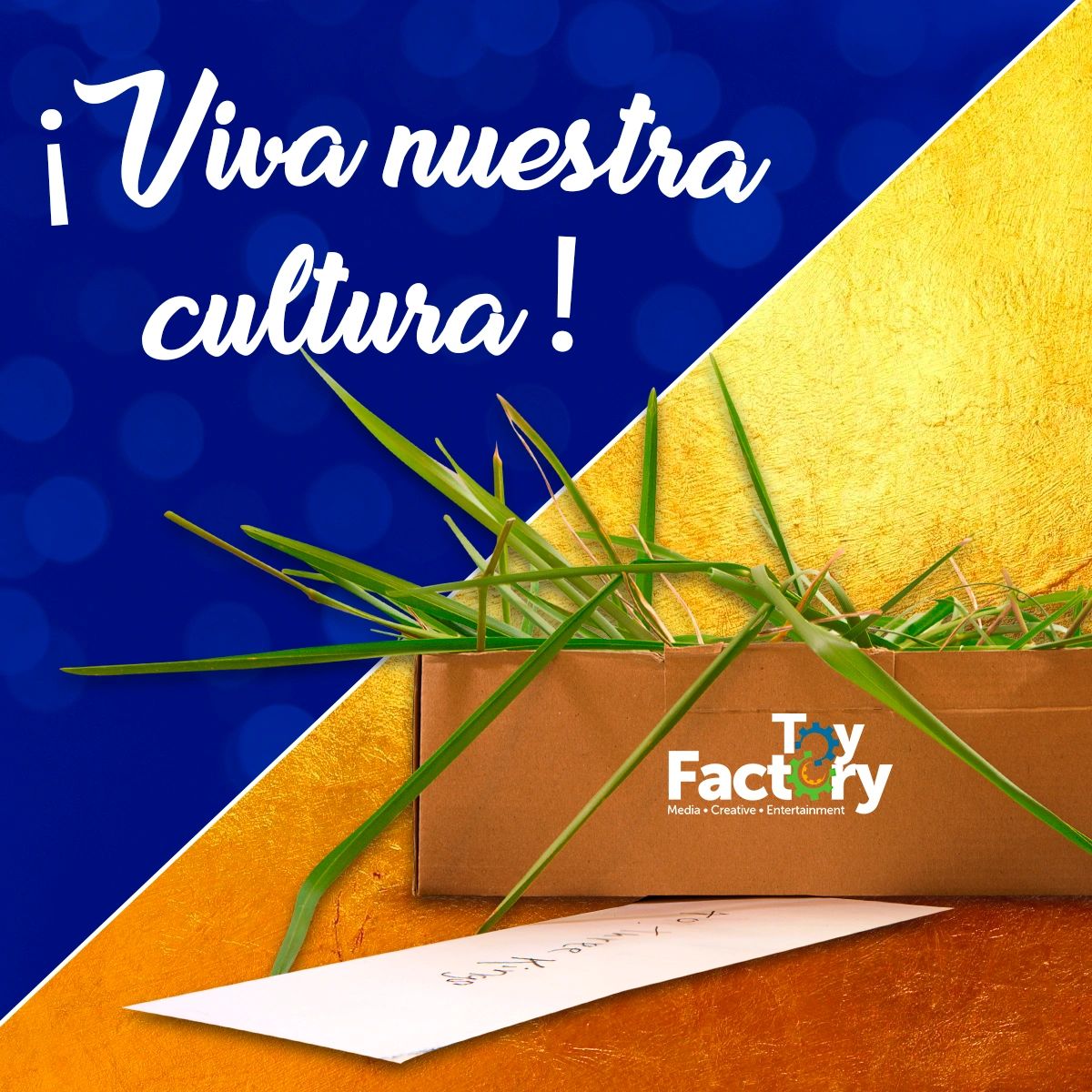 Toy Factory Puerto Rico | Toy Factory Puerto Rico