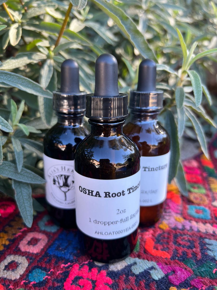 Osha Root Tincture