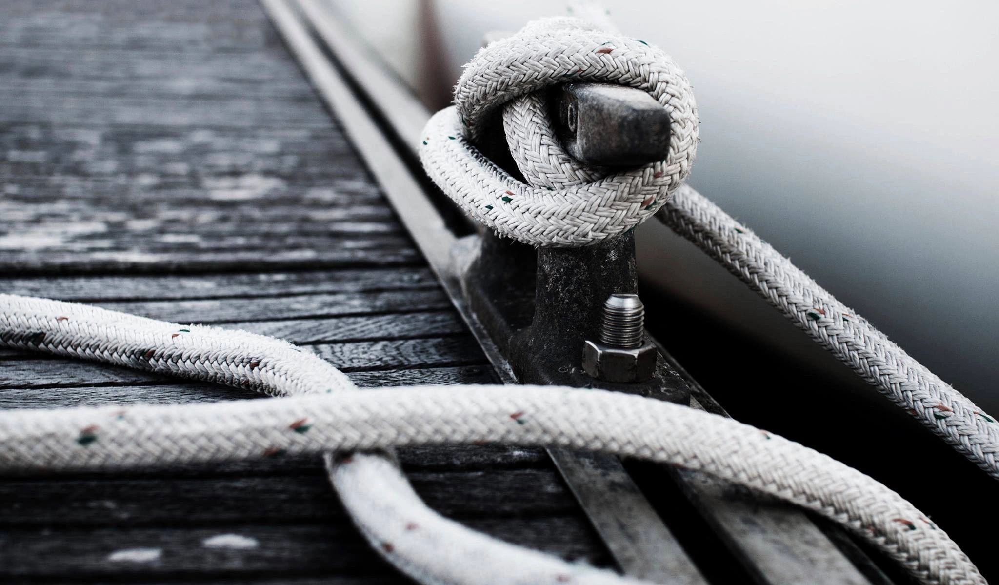 HOME [zinkcollection.com]