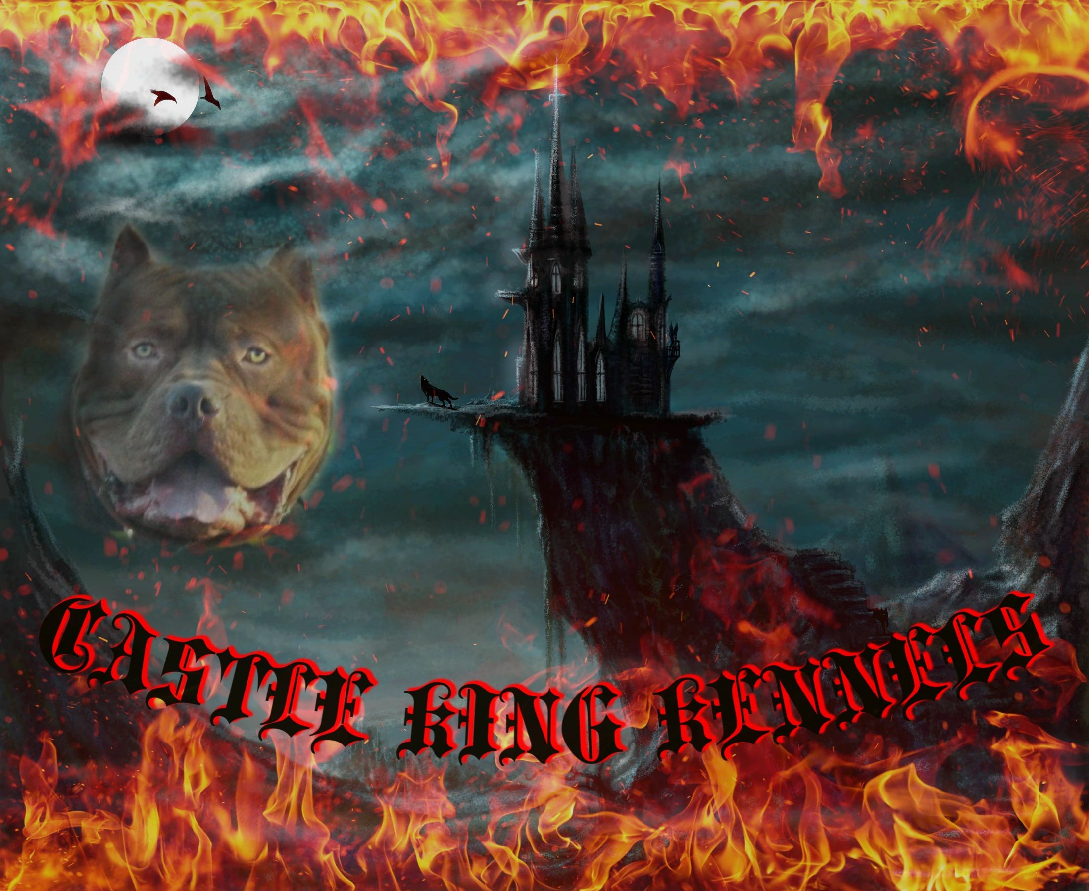 Castle King Kennels