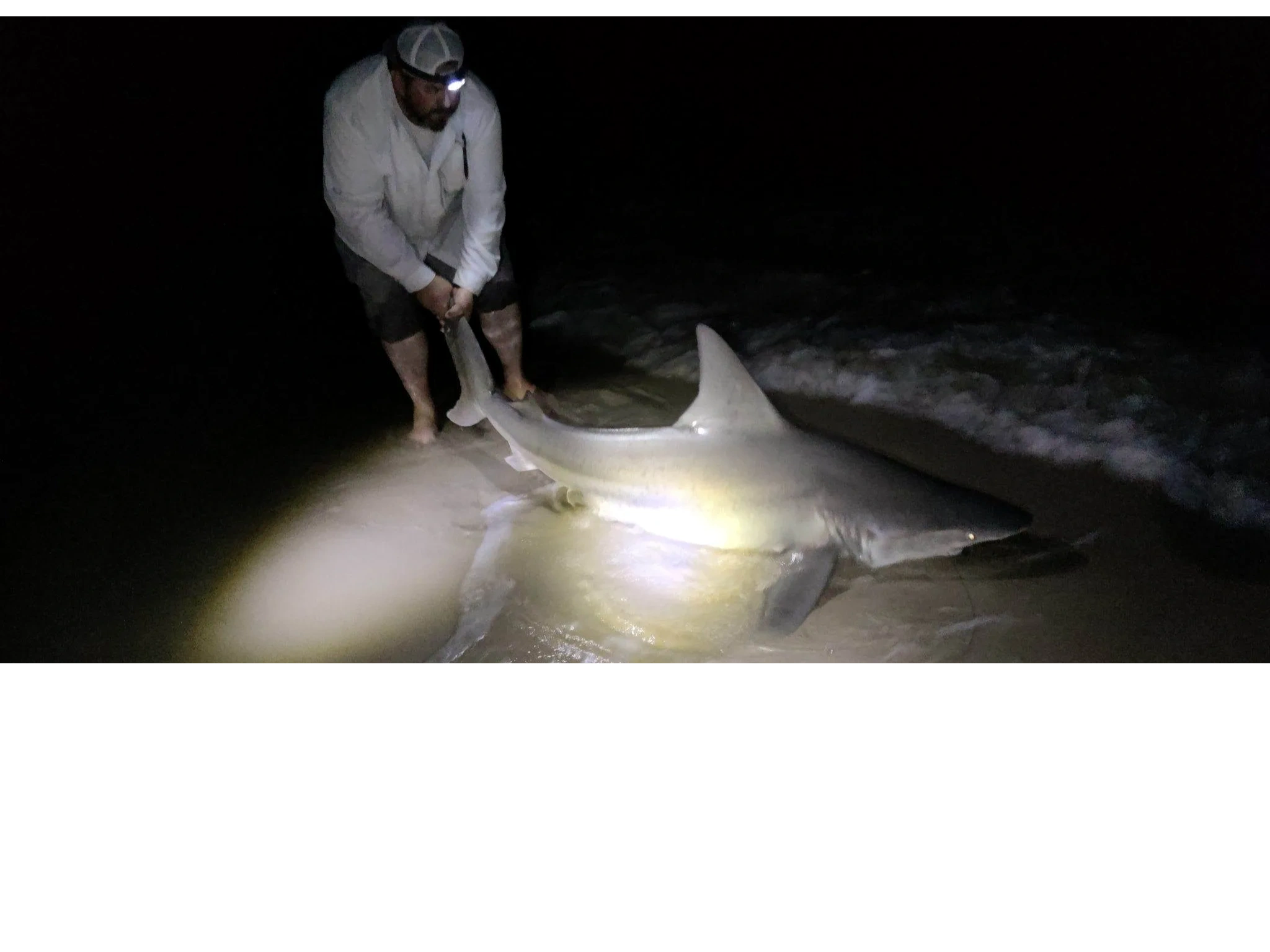 Custom Shark Fishing Gear and Equipment