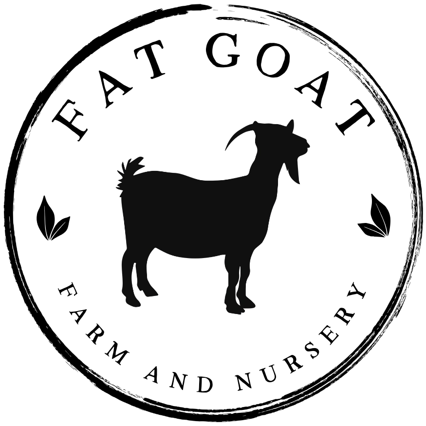 Visit Our Farm Stand | Fat Goat Farm