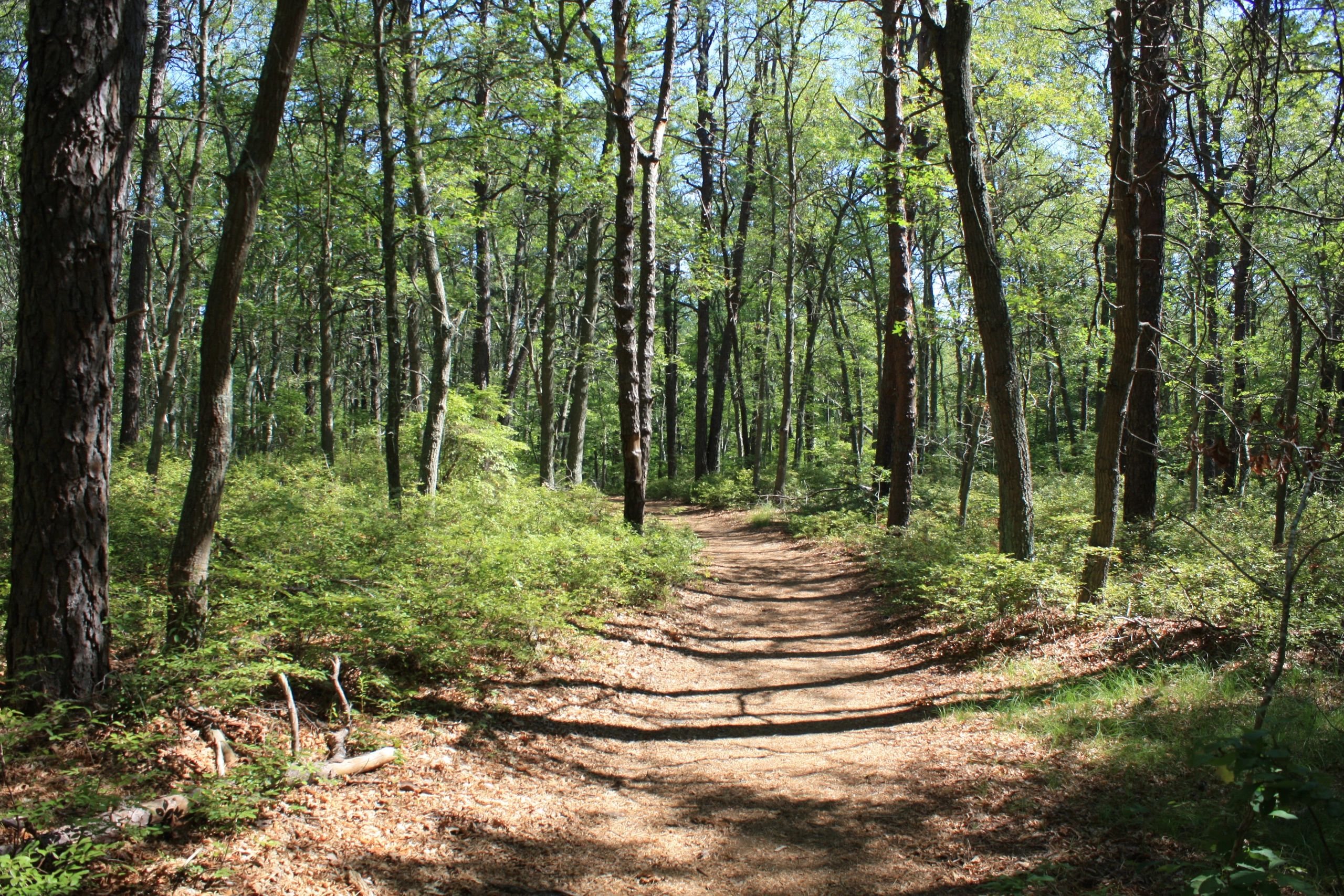 Nature Explorers LI - Homeschooling Nature Educational Program
