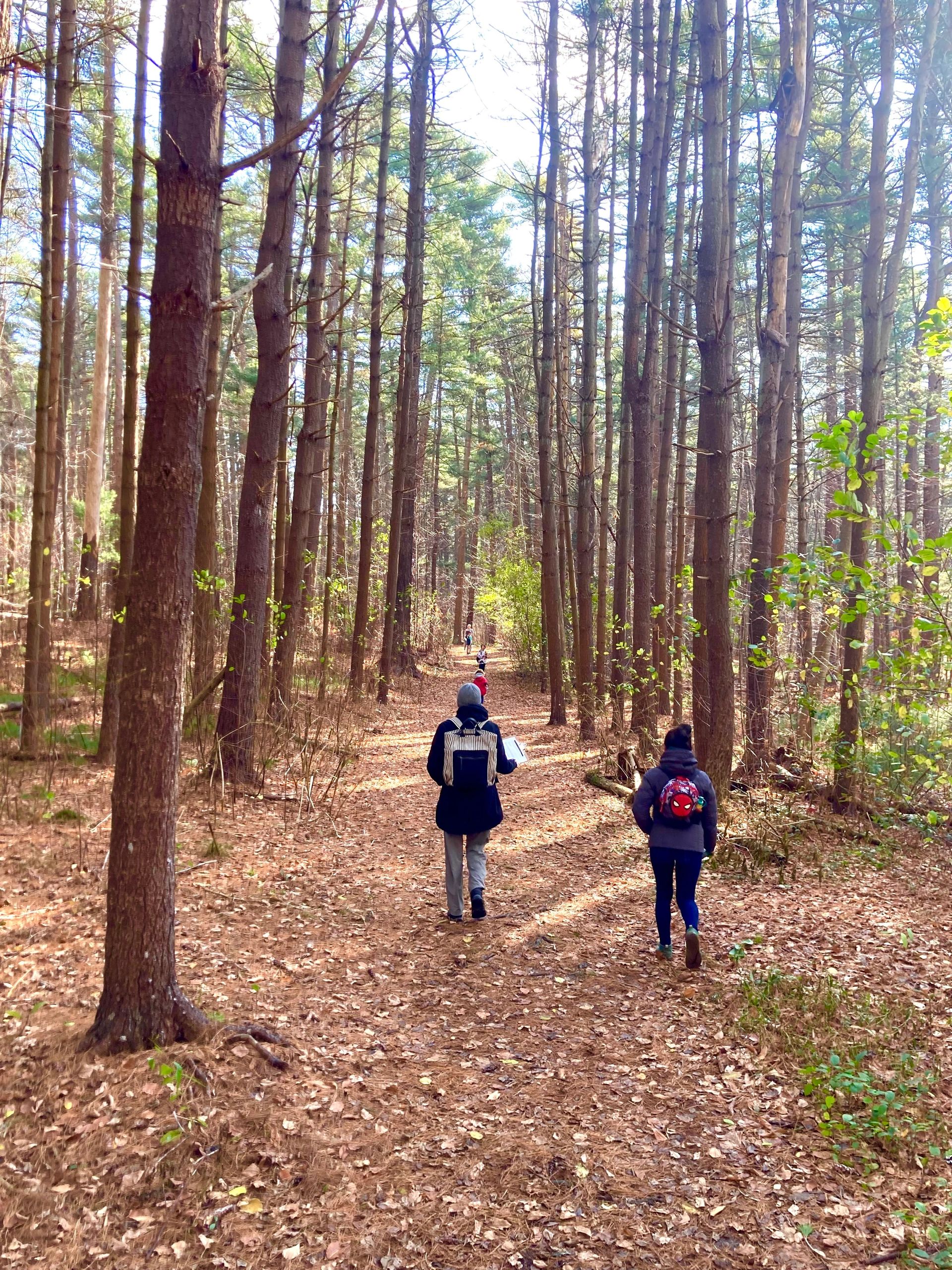 Nature Explorers LI - Homeschooling Nature Educational Program