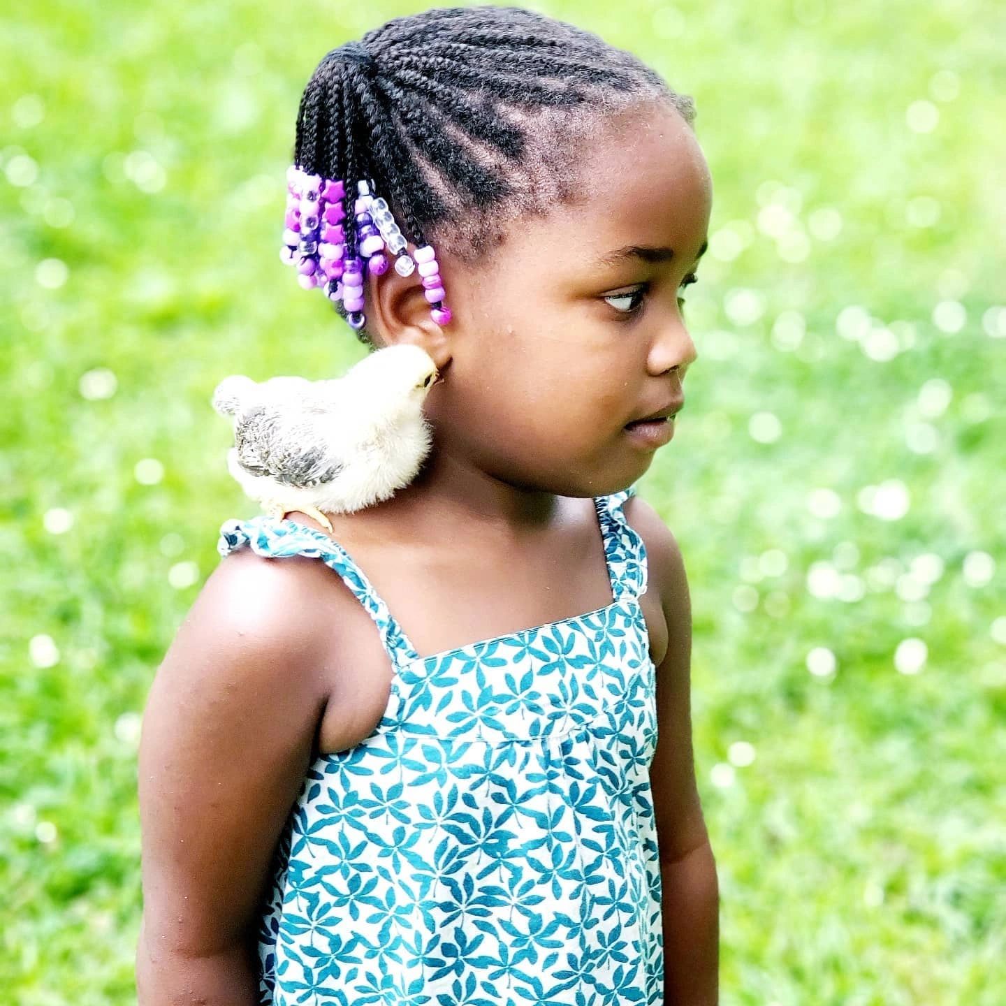 My Exotic Secrets - Homestead Farm, Garden Plants