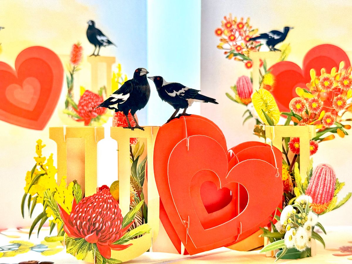 Australian Magpie LOVE Birds with Australian Native Flowers 3D Pop Up ...