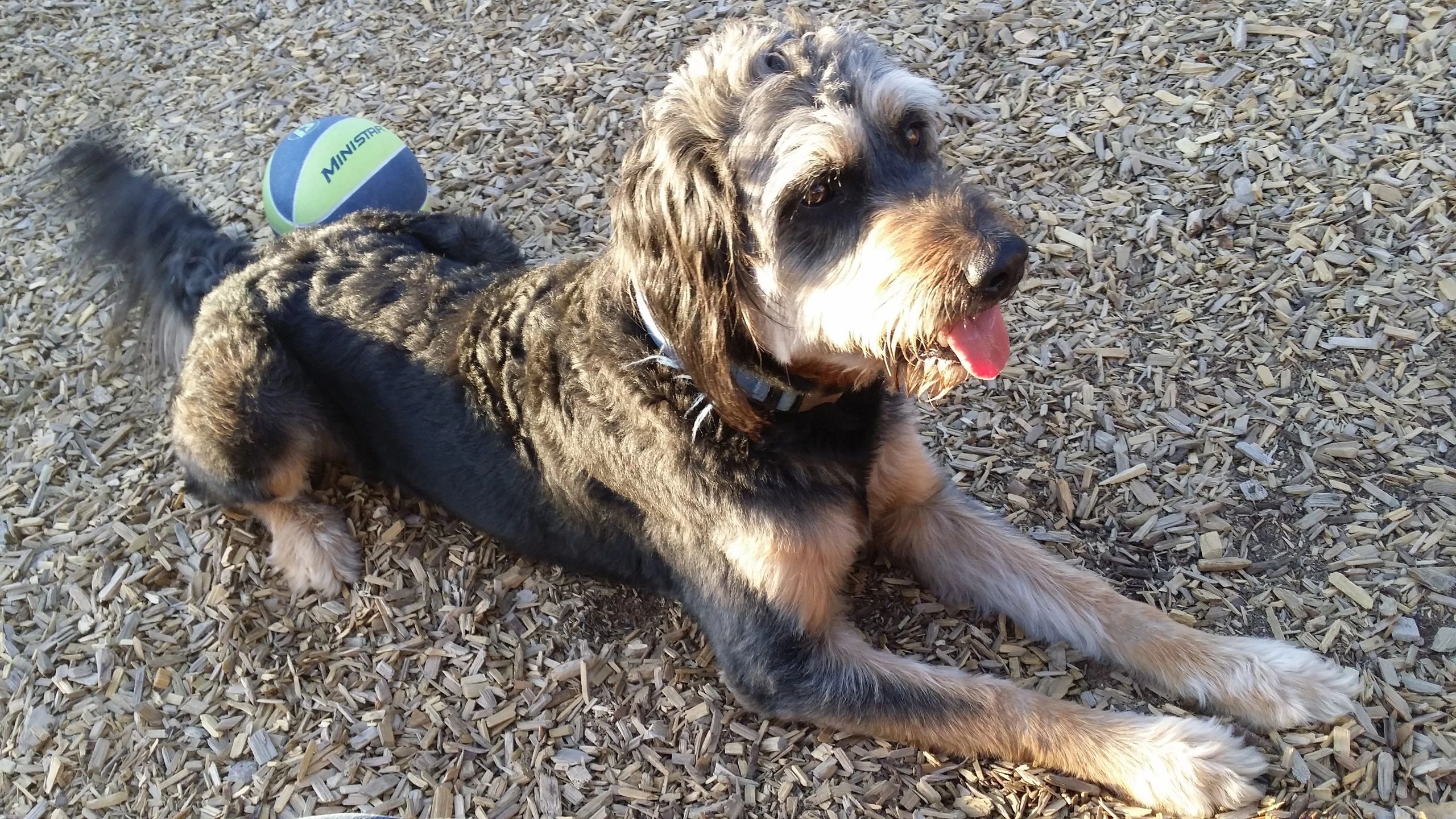 Current Availability