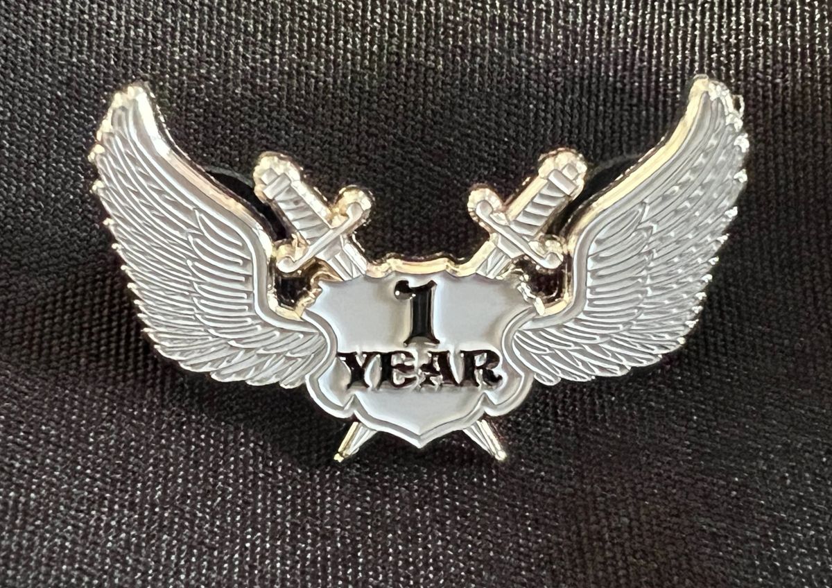 Members Only: Guardian 1 year Anniversary Pins