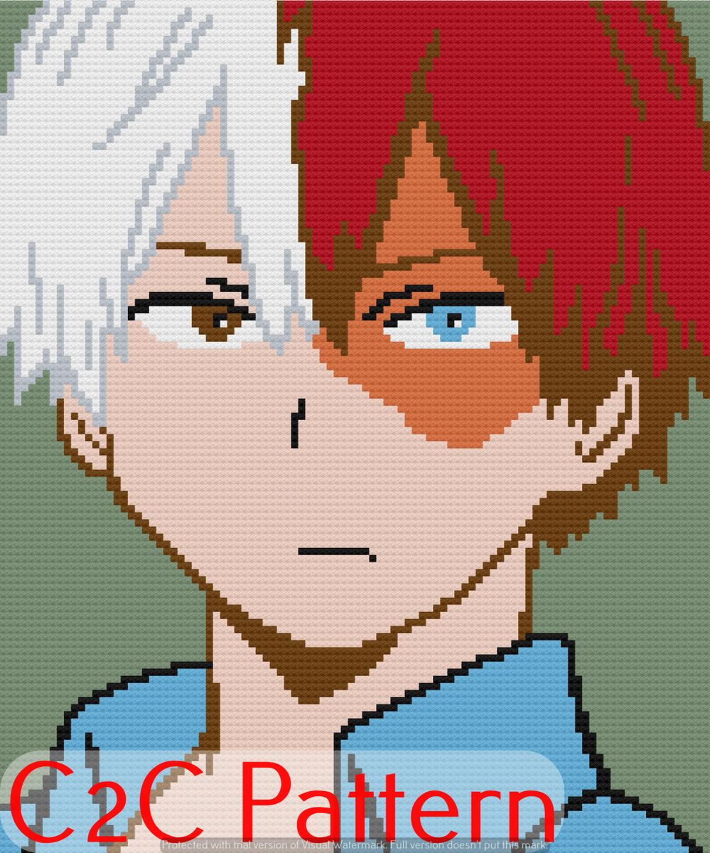 Todoroki Anime C2C Crochet Graph and Written Pattern
