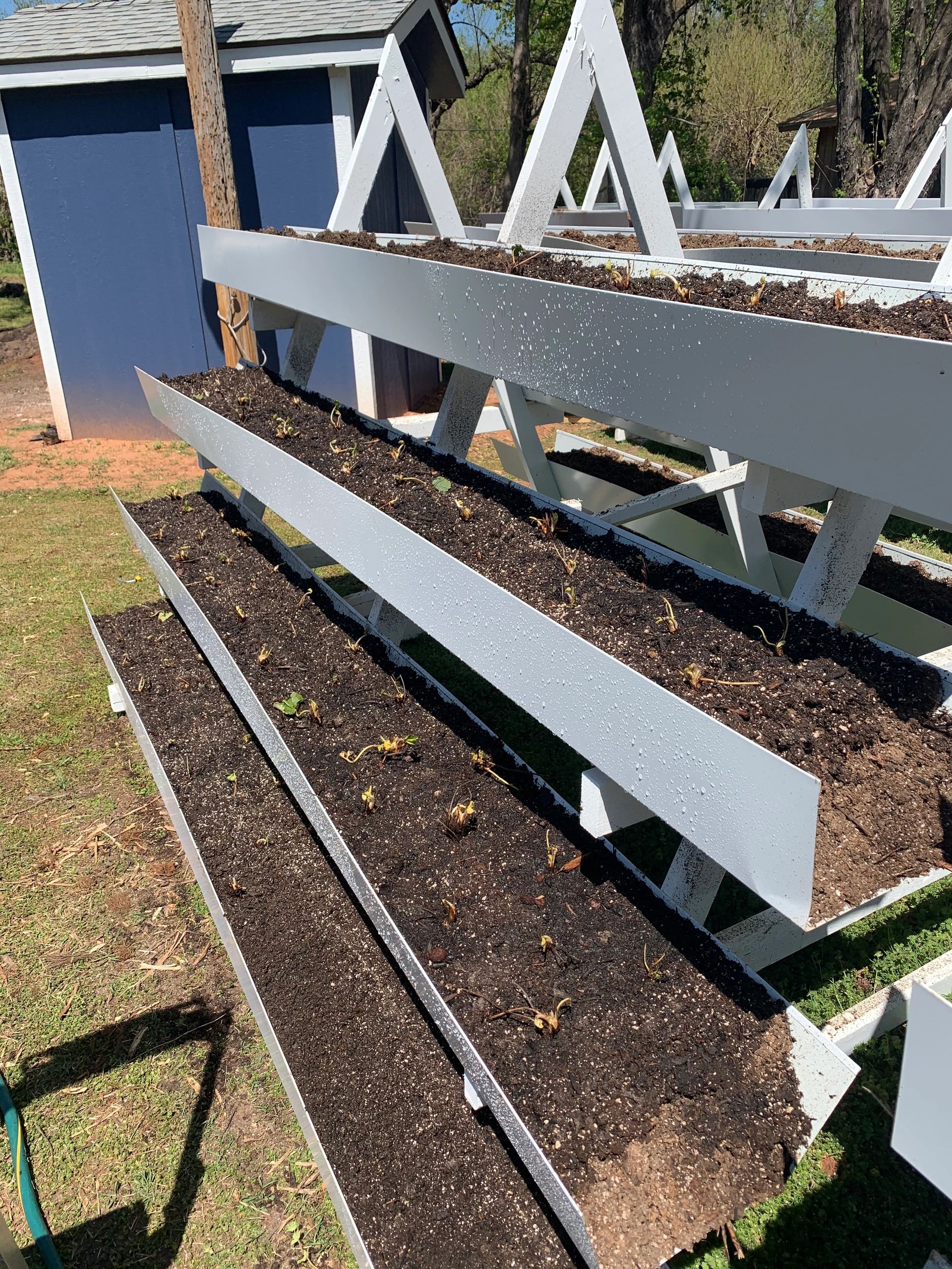 A-Frame Farming With Jbee Farms™️