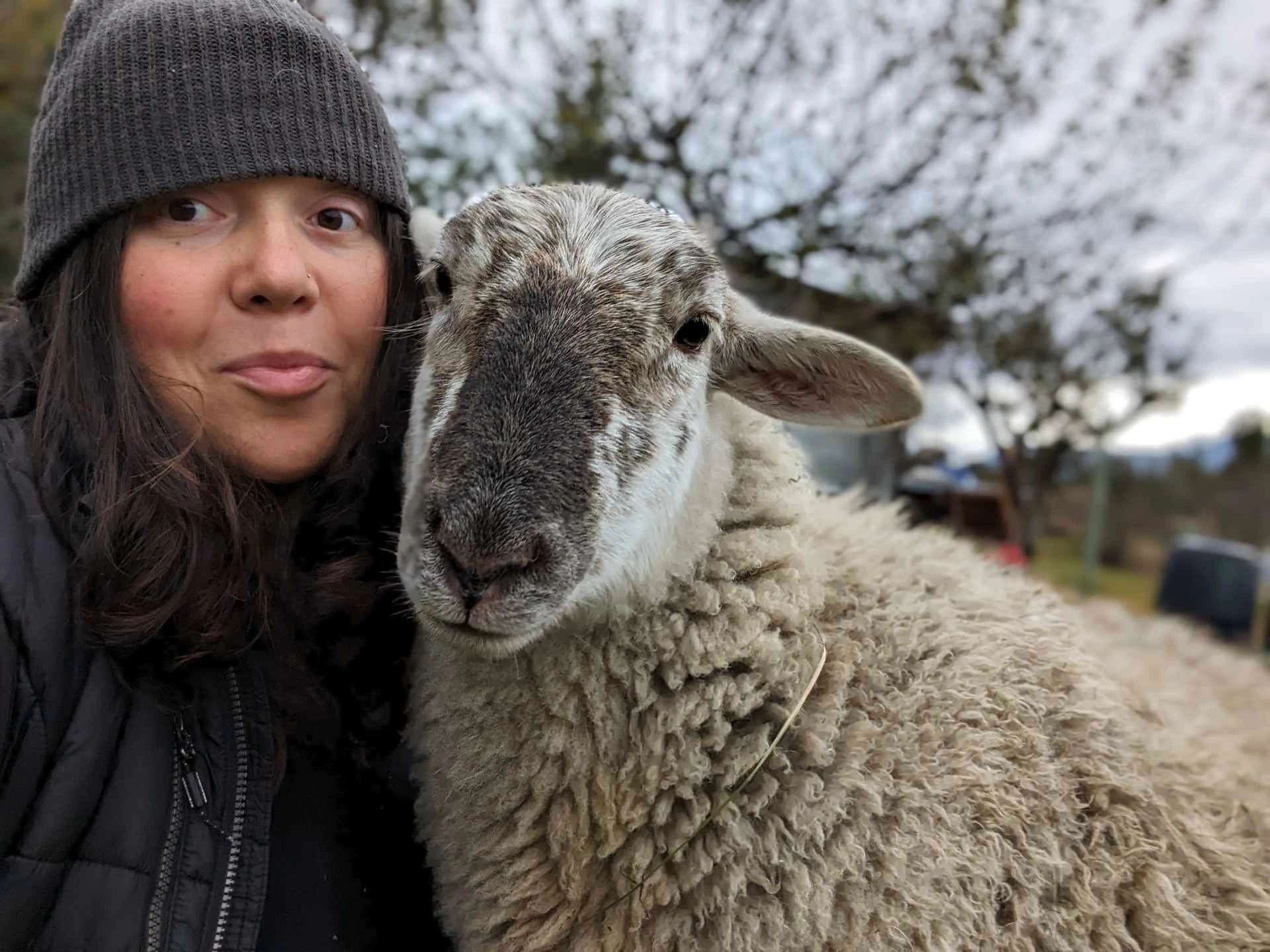 Kootenay Acres - Farm Animals, Farm, Family Farm