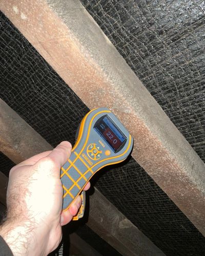 AMS SURVEYS | Independent Damp and Timber Survey Reports