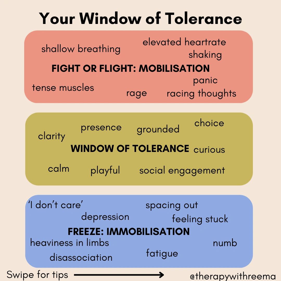 Your Window of Tolerance: Tips for Emotional Regulation for AuDHD