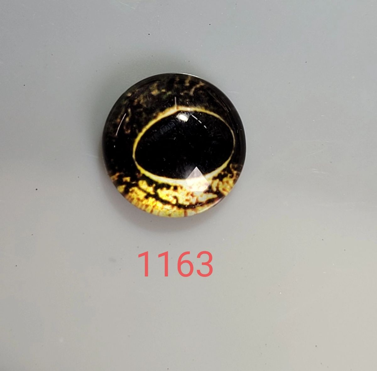 CUSTOM GLASS EYES 1163 Loch Ness 10PK