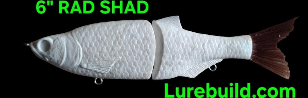 6" Rad Shad