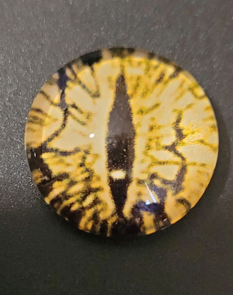 Custom Glass Eyes 1204 Bayou 10pk