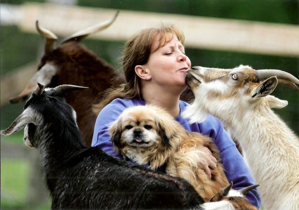 Safety Net Sanctuary - Pet Rescue, Adopt Pets