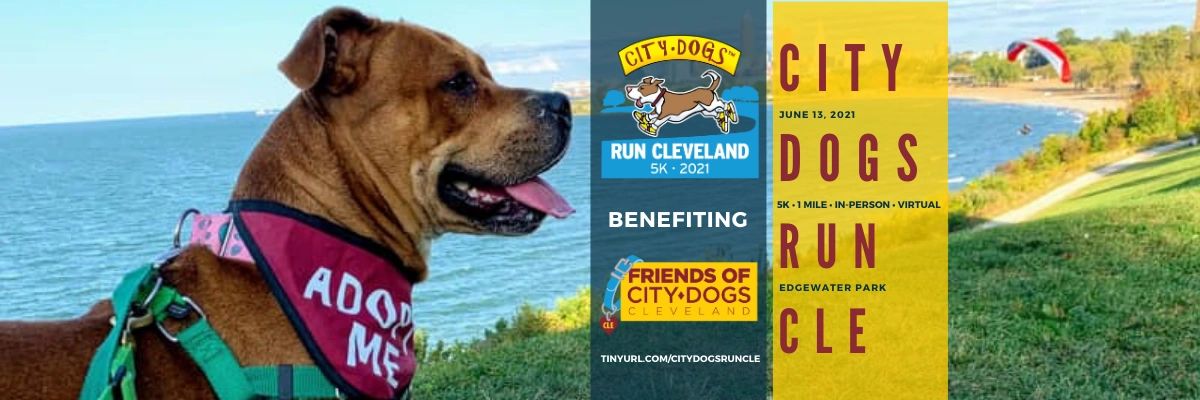 CACC | Friends of City Dogs Cleveland