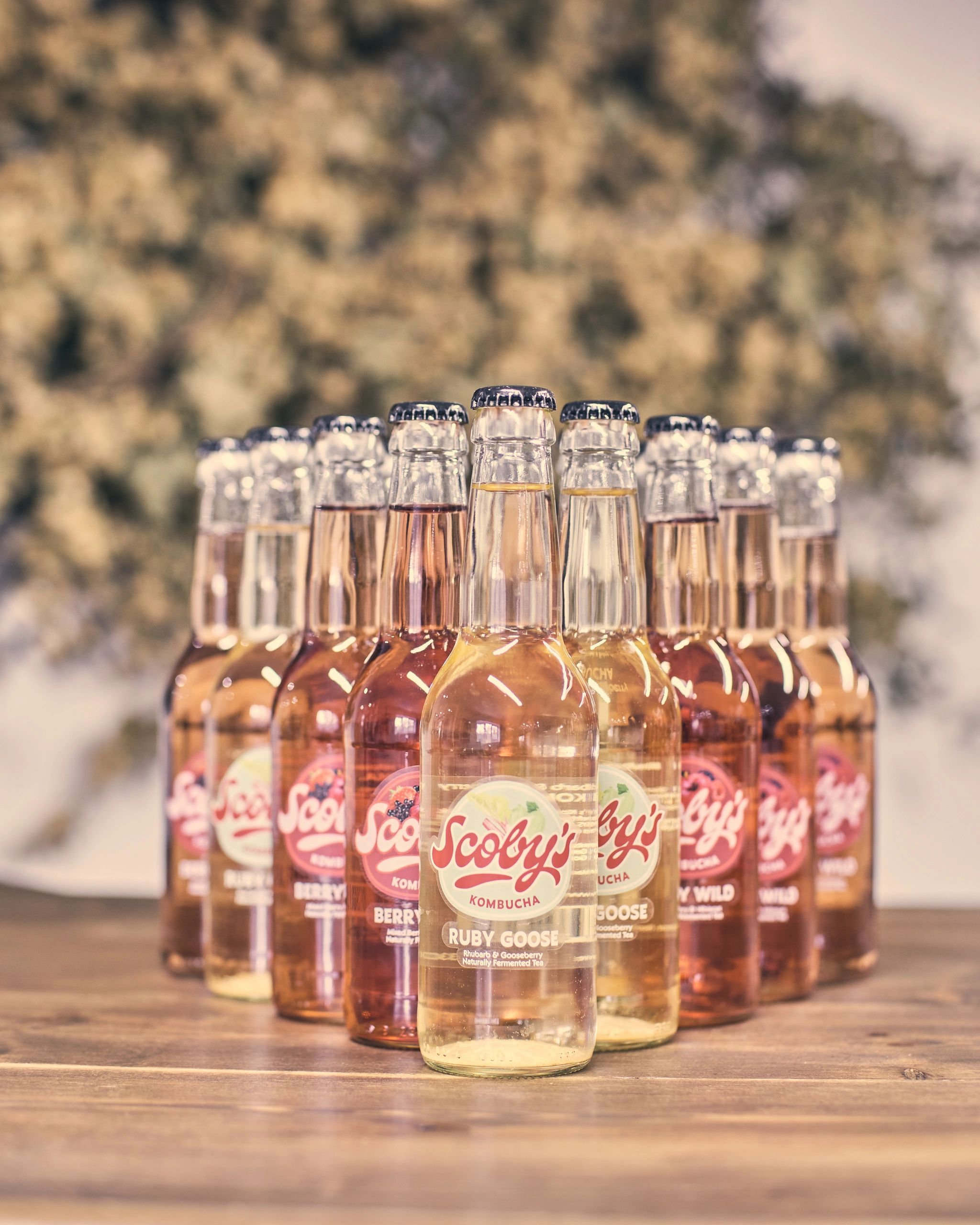 Order Scoby's Kombucha Online