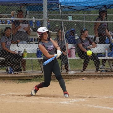 LADY LINERS TRAVEL SOFTBALL - Home