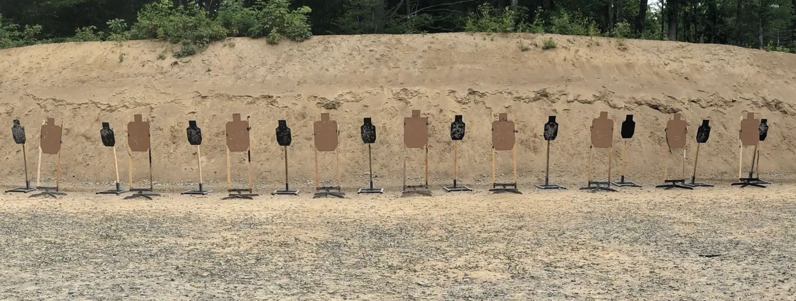 Home [www.dynamicfirearmstraining.com]