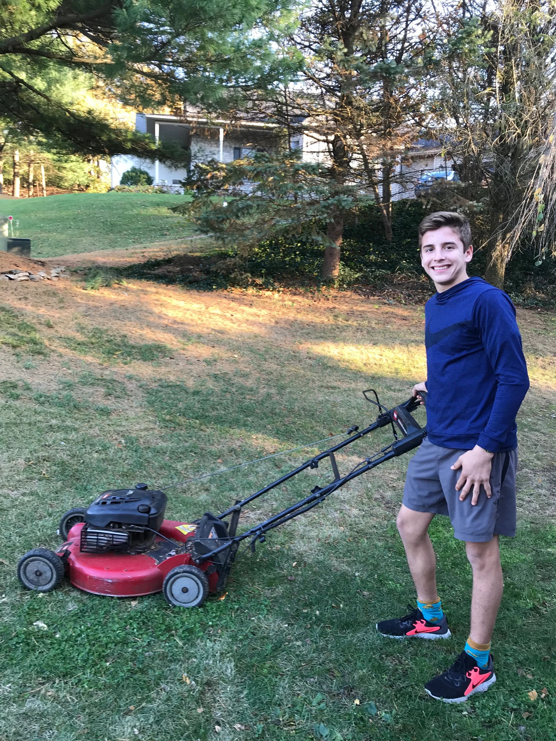 The Lawn Barber